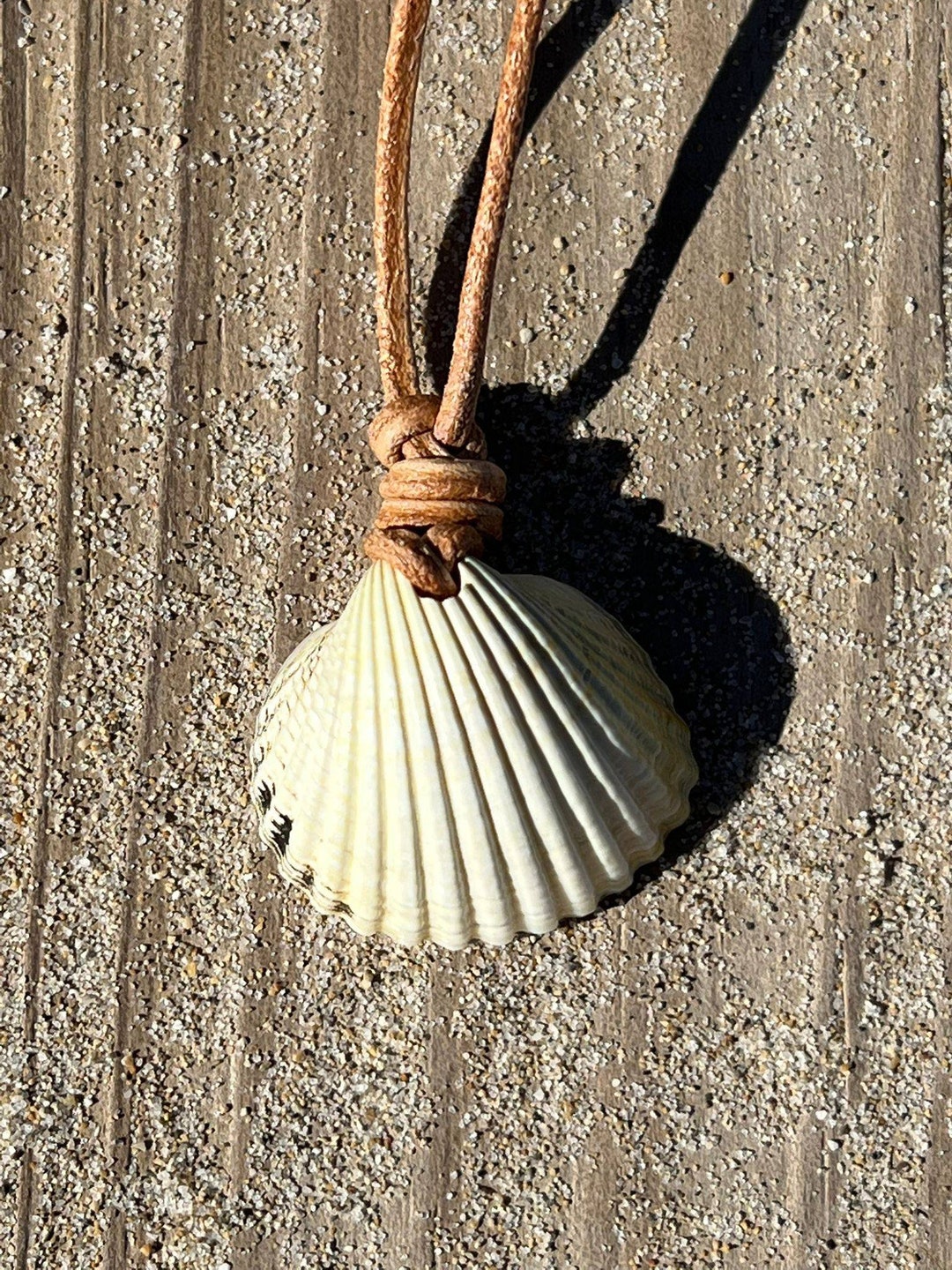 Cute and Fun Natural Shell Necklace in Various Sizes. Choose - Etsy