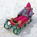 Alpine Snowflake Cutter / Plastic Sled - Etsy