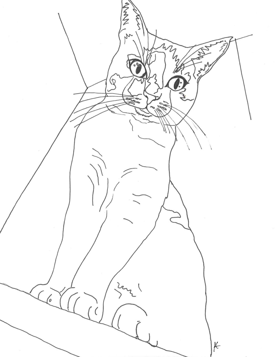 Cat4 Printable Coloring Page - Etsy