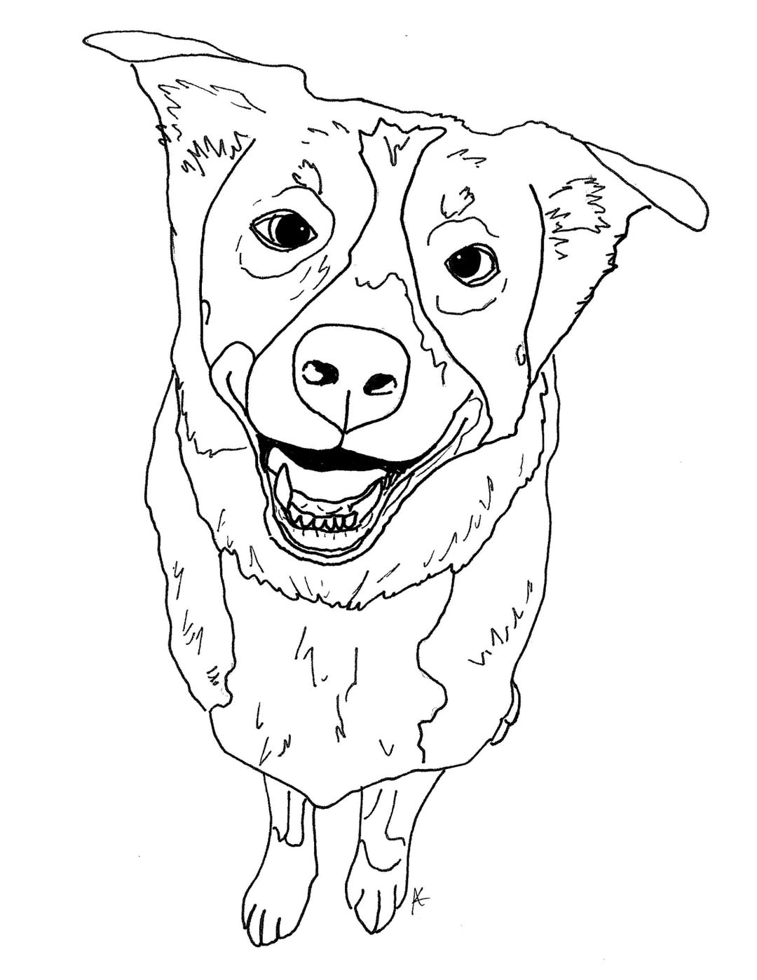 Aussie Printable Coloring Page - Etsy