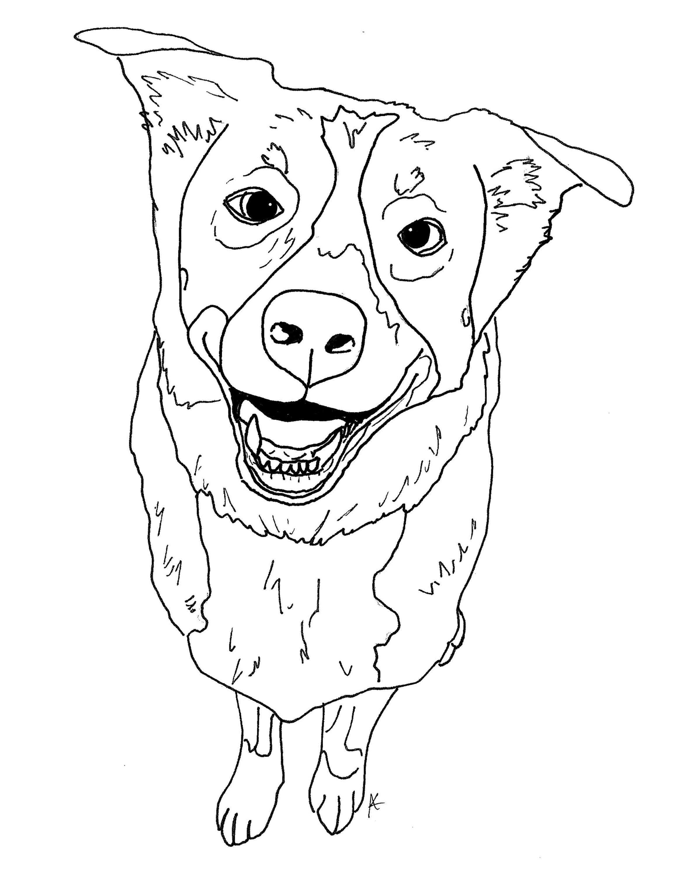Aussie Printable Coloring Page - Etsy
