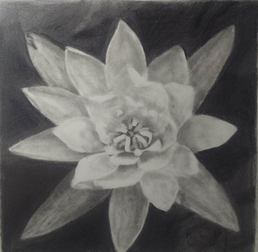 Graphite Drawing of a Simple Flower - Etsy