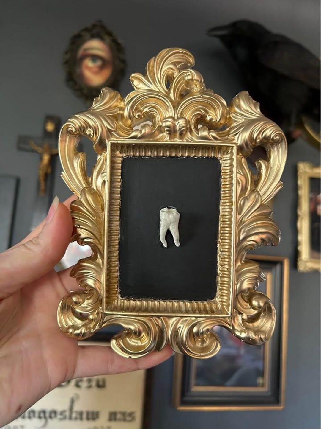 Handmade Framed Plaster Molar Tooth: Gothic Creepy Wall Art - Etsy