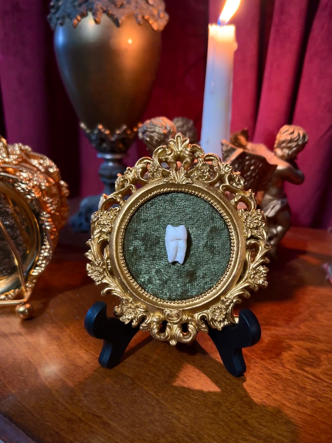 Framed Human Molar Tooth (gothic Macabre Dark Home Decor) - Etsy