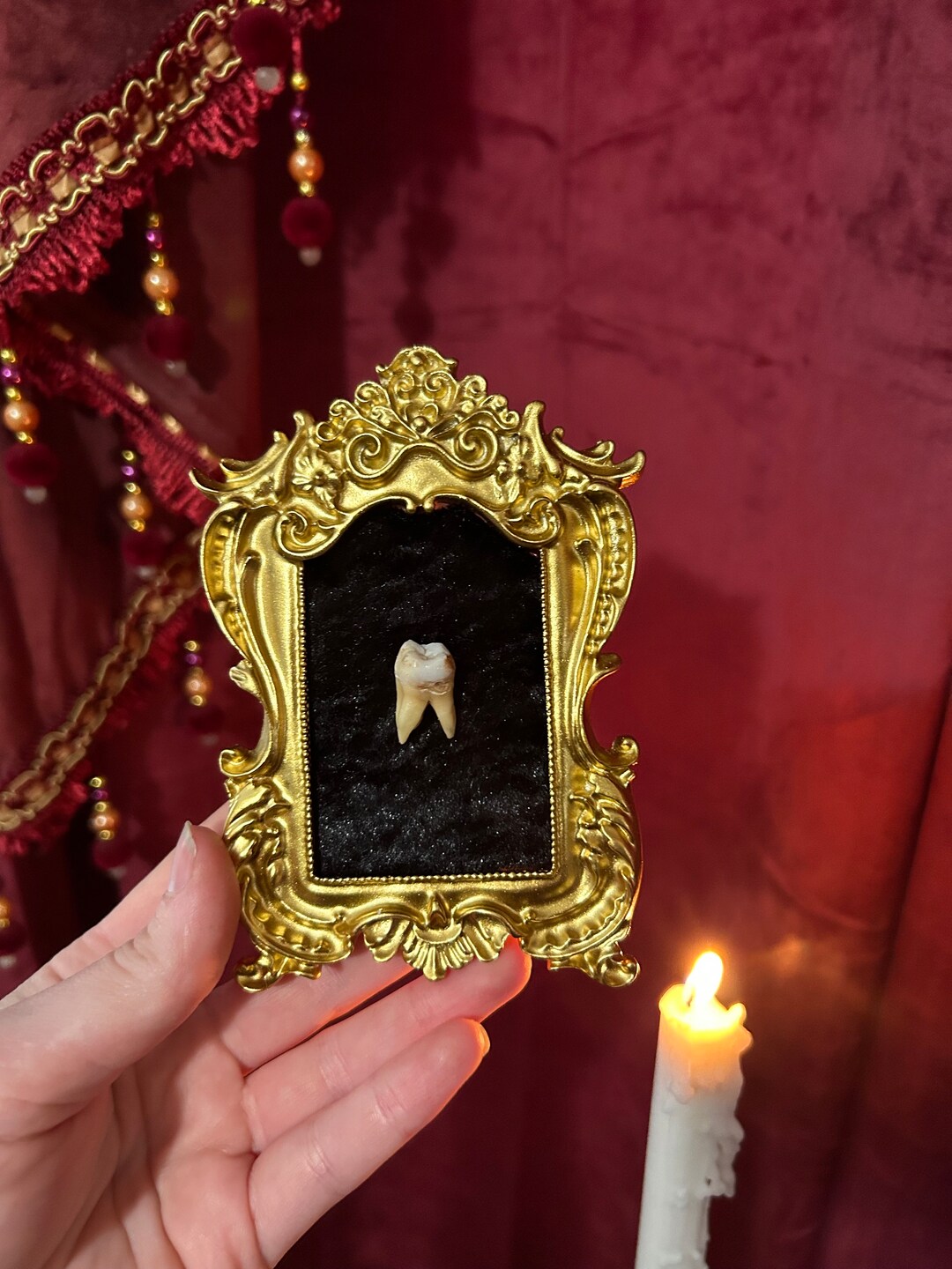 Framed Human Molar Tooth gothic Macabre Dark Home Decor - Etsy