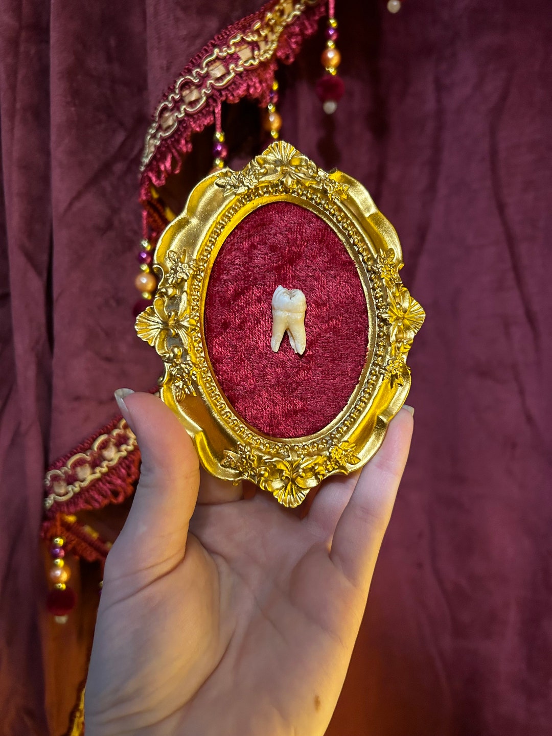 Framed Human Molar Tooth Goth Macabre Oddity Wall Art - Etsy