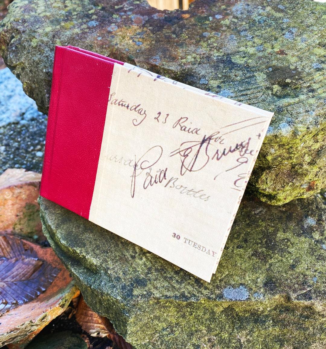 Printed Cover of a 100 Year Old Ledger Page Covers This Small Hand ...