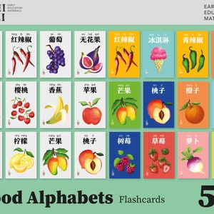 113 Montessori Chinese Flashcards Kids Classroom Homeschool - Etsy