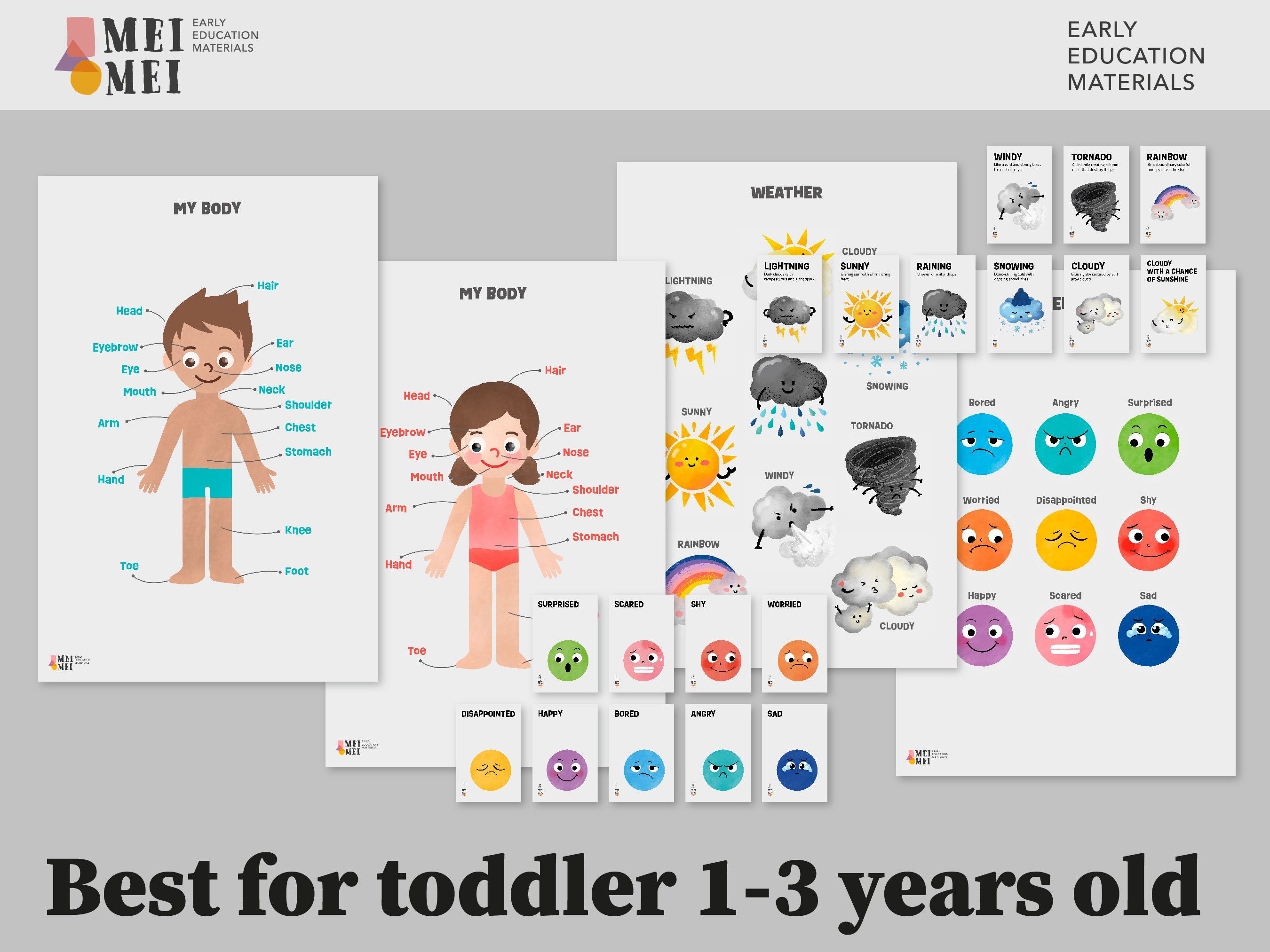 Montessori Posters and Flashcards Bundle B Educational - Etsy