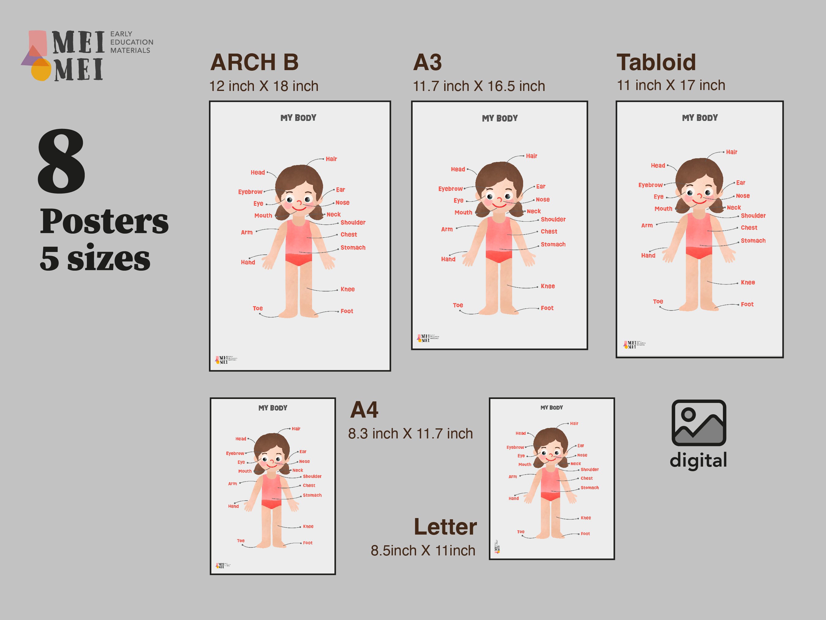 Montessori Posters and Flashcards Bundle B Educational - Etsy