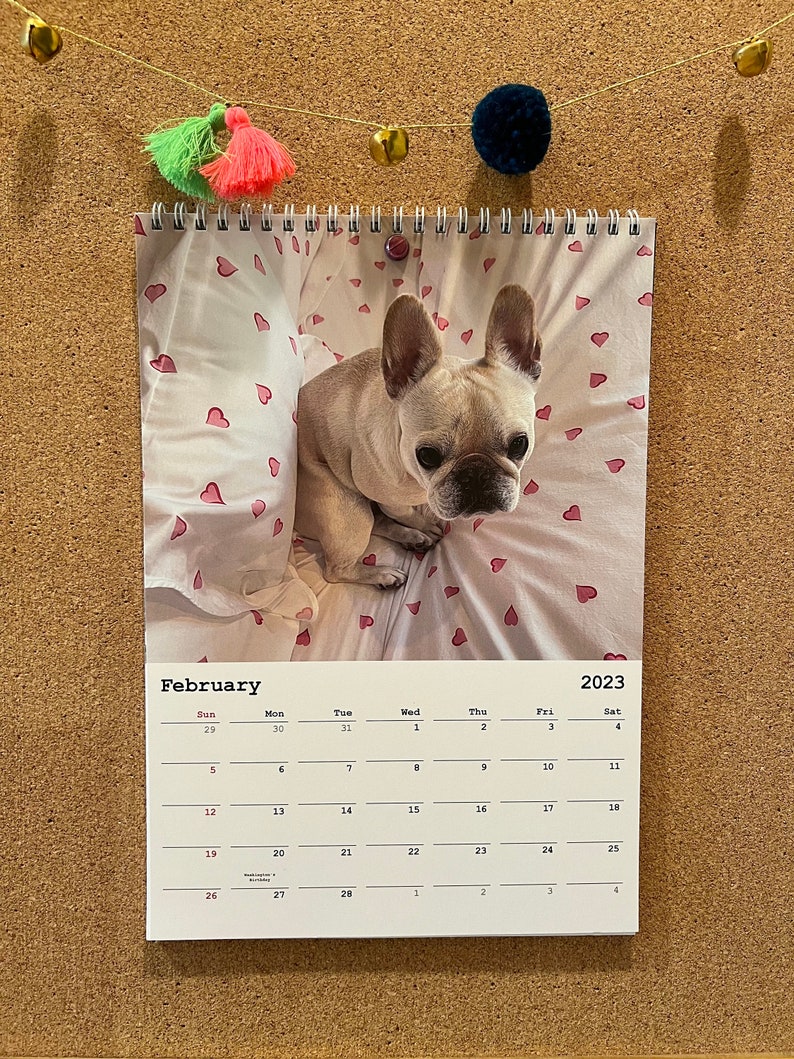 French Bulldog 2023 Calendar | Marzipan the Frenchie | Frenchie Wall ...