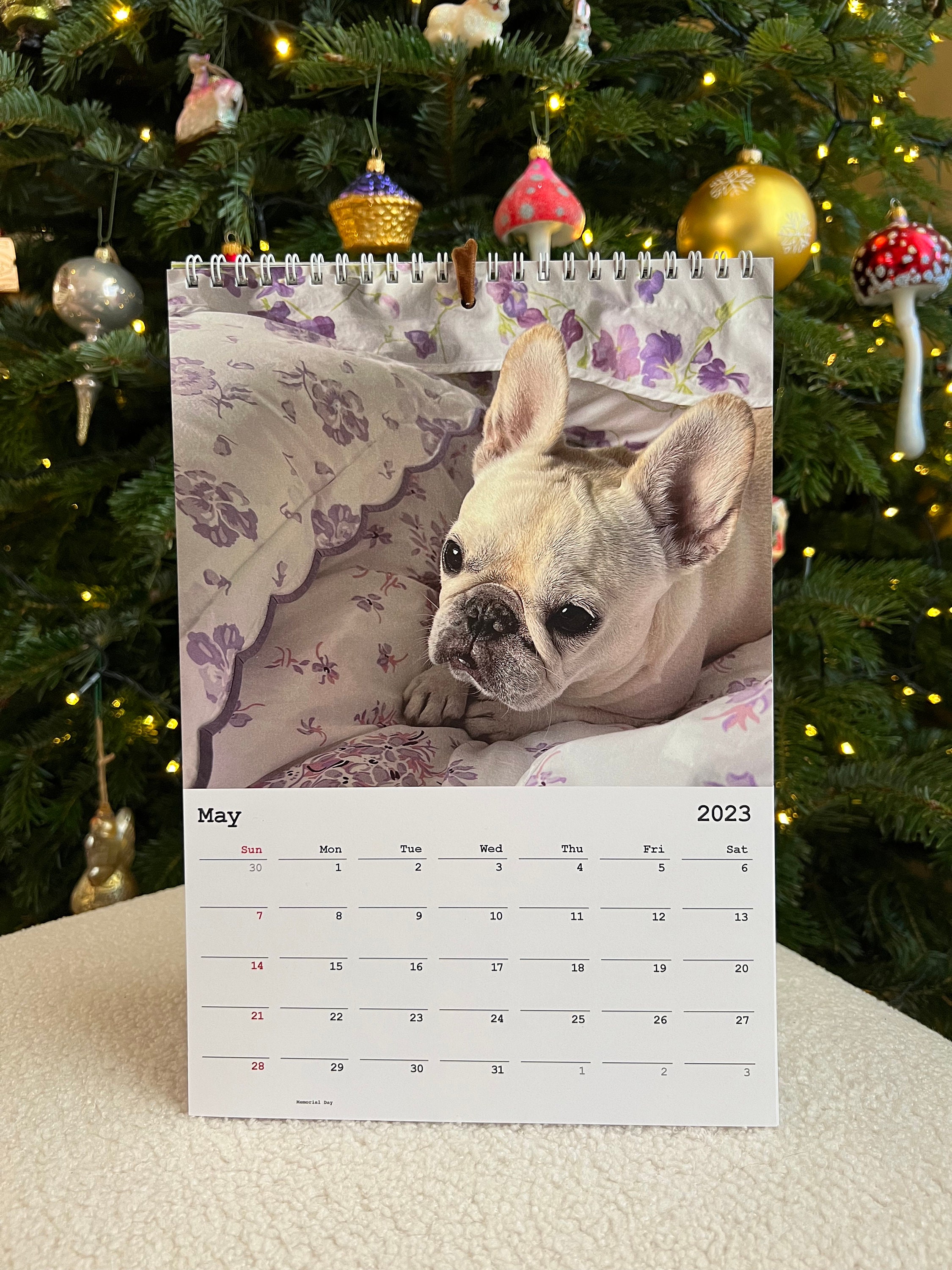 French Bulldog 2023 Calendar | Marzipan the Frenchie | Frenchie Wall ...