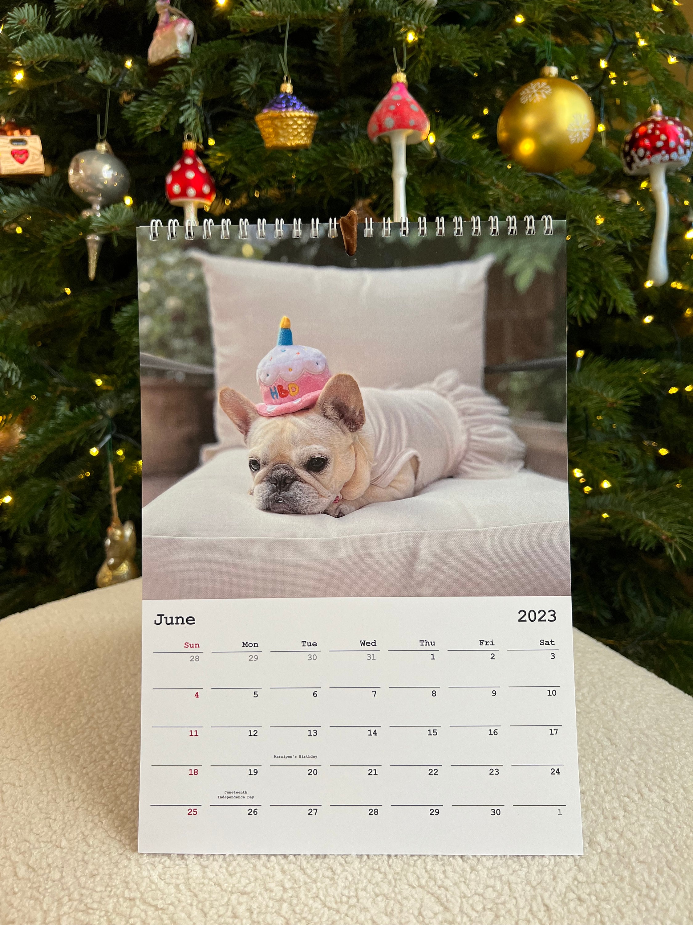 French Bulldog 2023 Calendar | Marzipan the Frenchie | Frenchie Wall ...