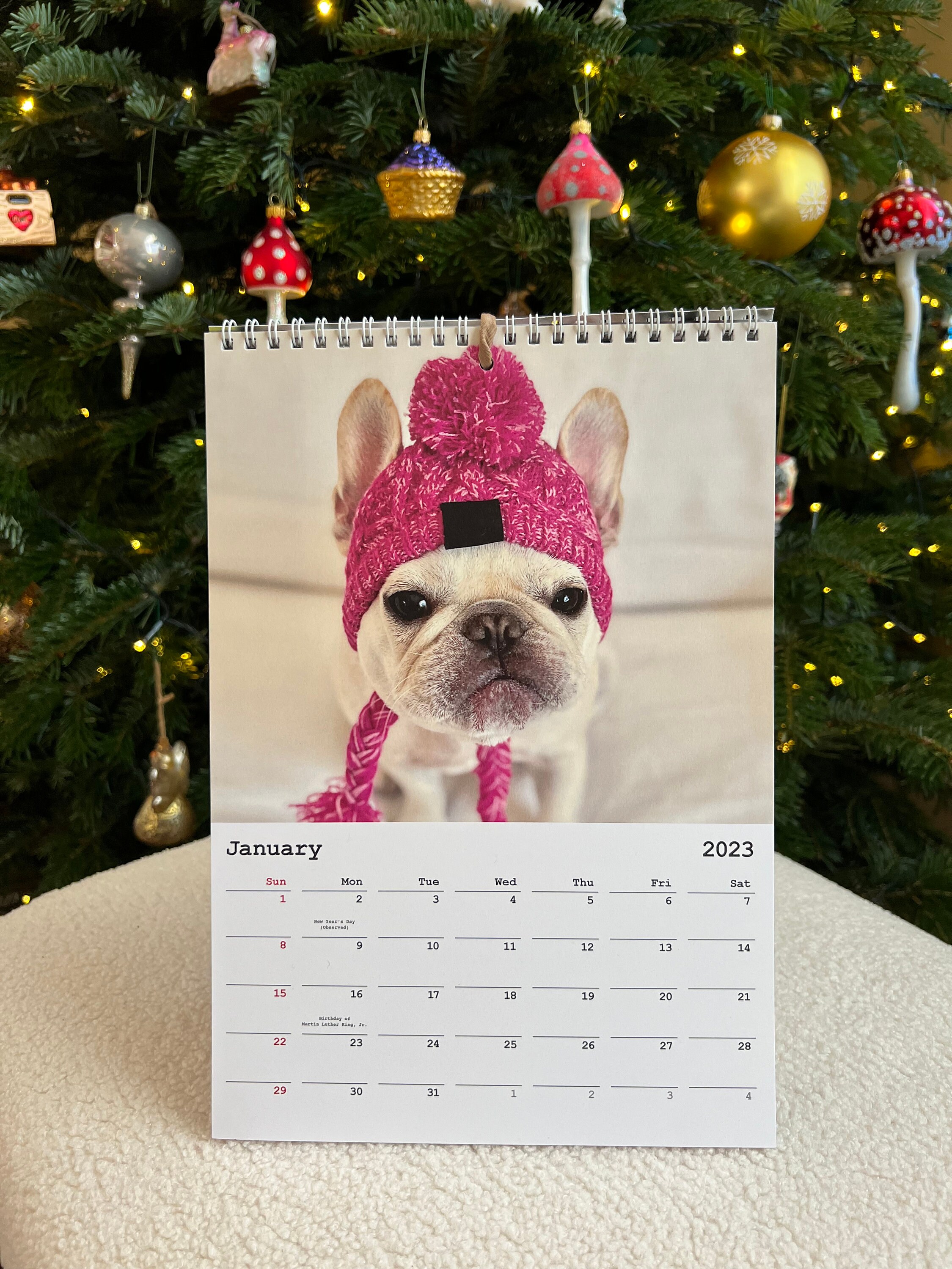 French Bulldog 2023 Calendar | Marzipan the Frenchie | Frenchie Wall ...