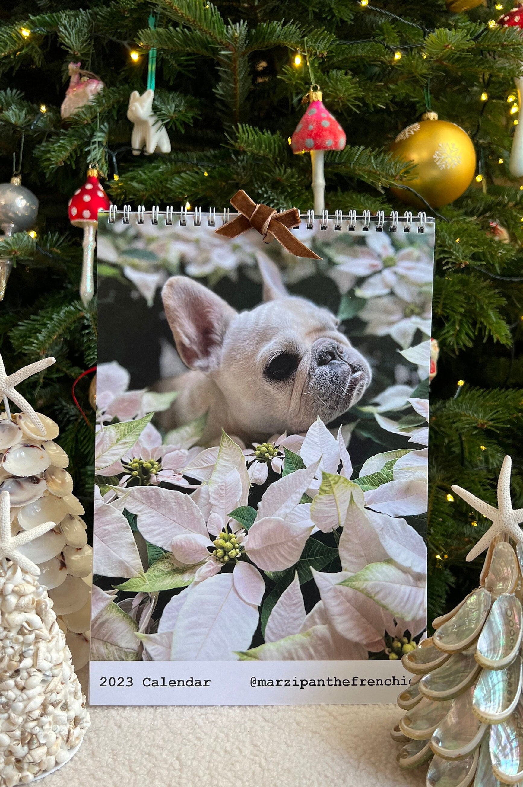 French Bulldog 2023 Calendar | Marzipan the Frenchie | Frenchie Wall ...