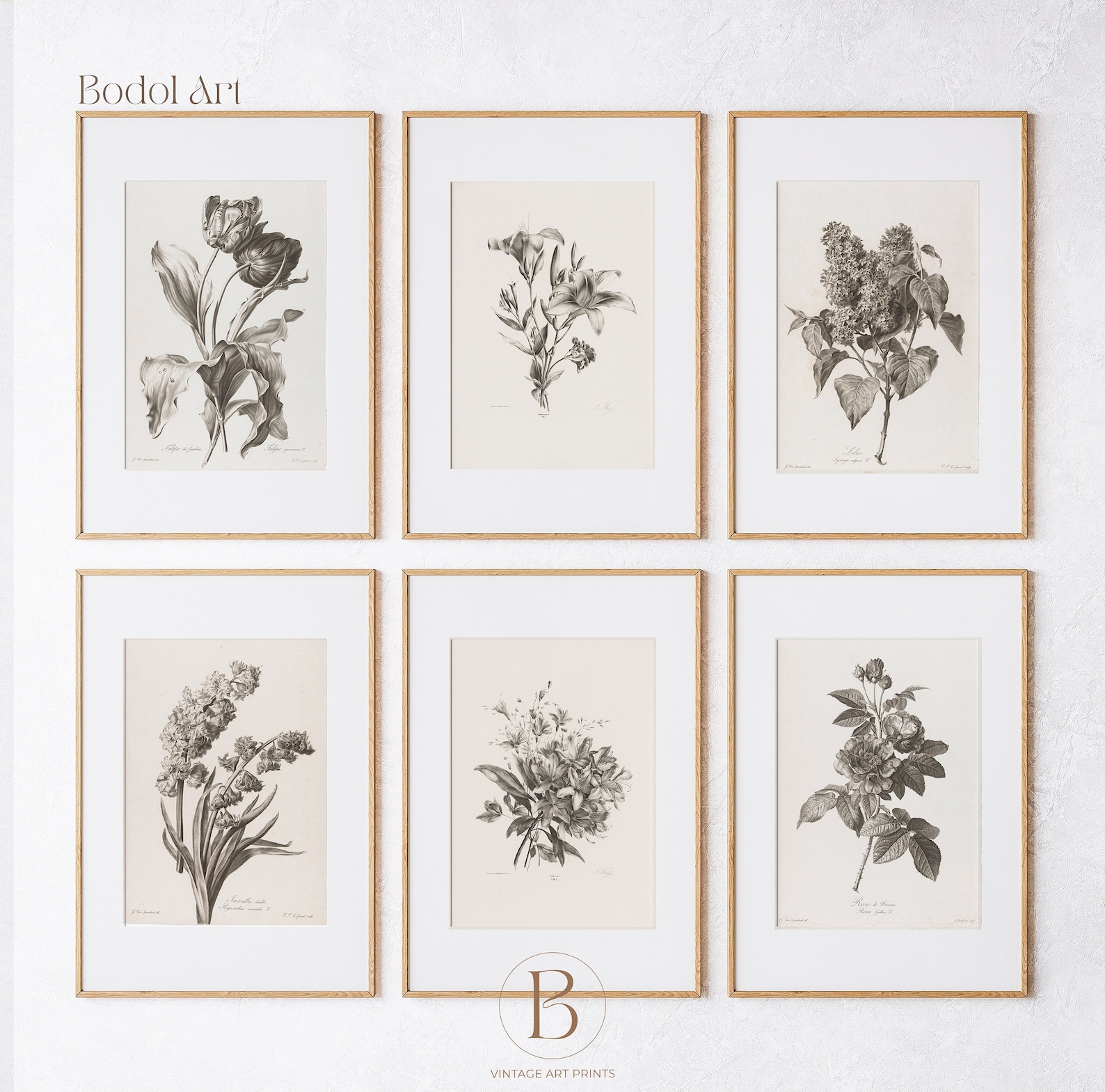 Set of 6 Printable Botanical Prints Modern Farmhouse Gallery Wall ...