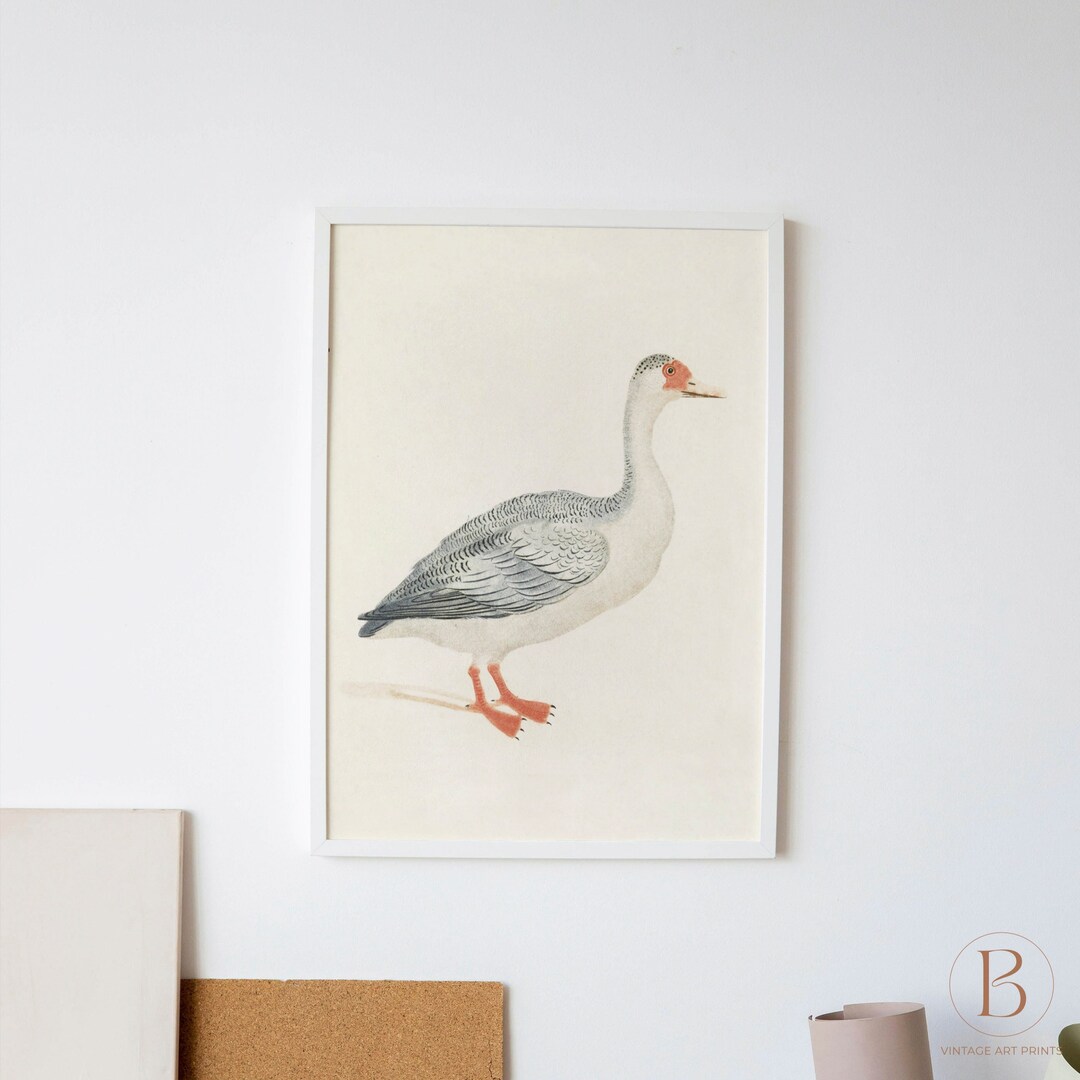 Vintage Goose Drawing: Antique Bird Print for Timeless Home Decor ...