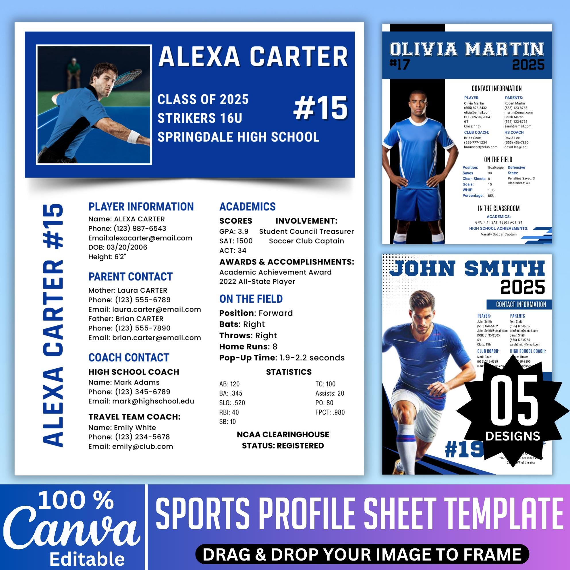05 Sports Profile Sheet Template, Editable Individual Profile Sheet ...