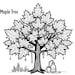 Printable Wonderful World of Plants and Trees Coloring Book - 20 ...
