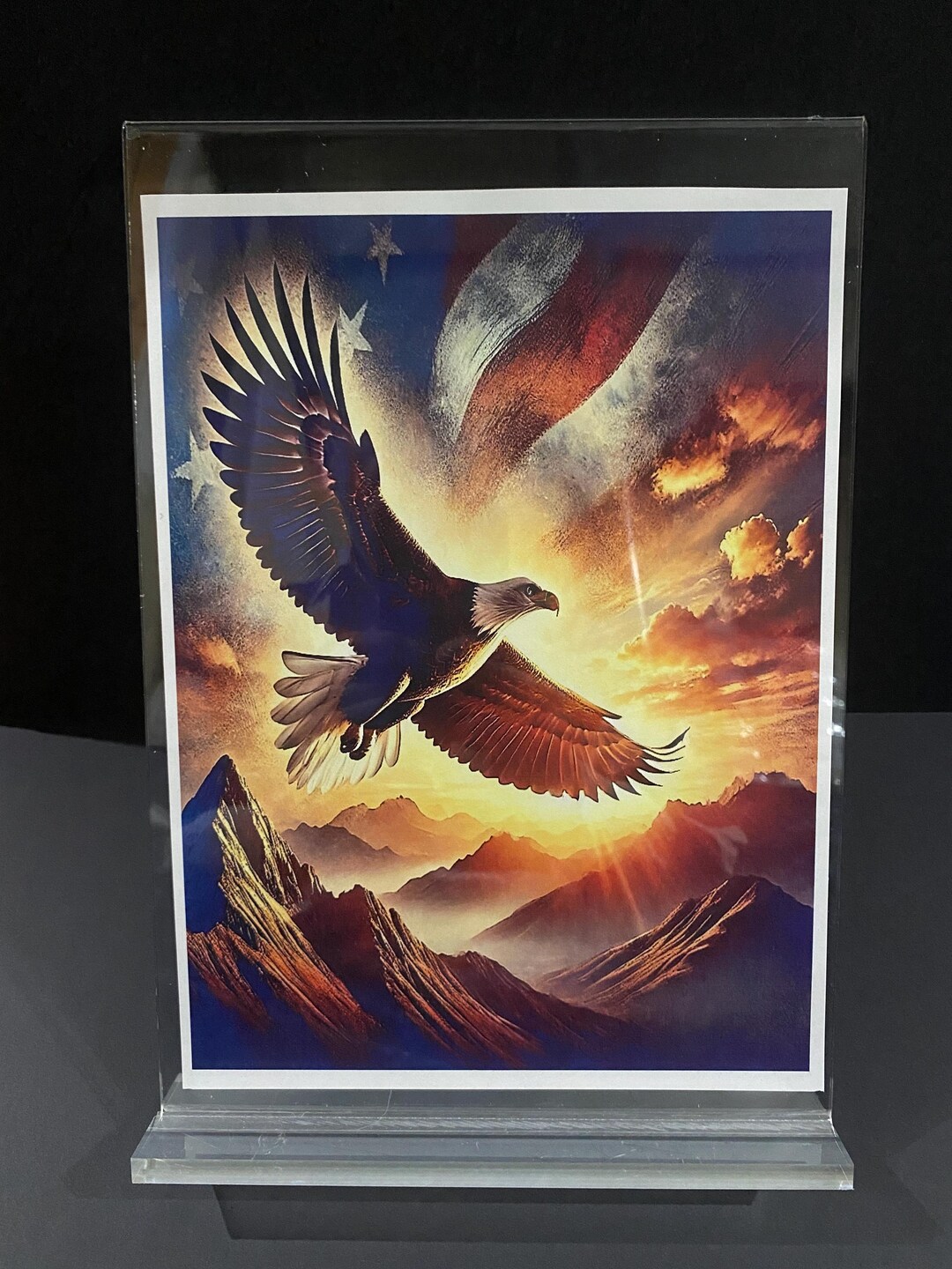 American Bald Eagle Acrylic Holder Stand 8.5X11 in Kodak Paper Print AI ...