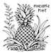 Printable Wonderful World of Plants and Trees Coloring Book - 20 ...