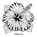 Printable Wonderful World of Plants and Trees Coloring Book - 20 ...