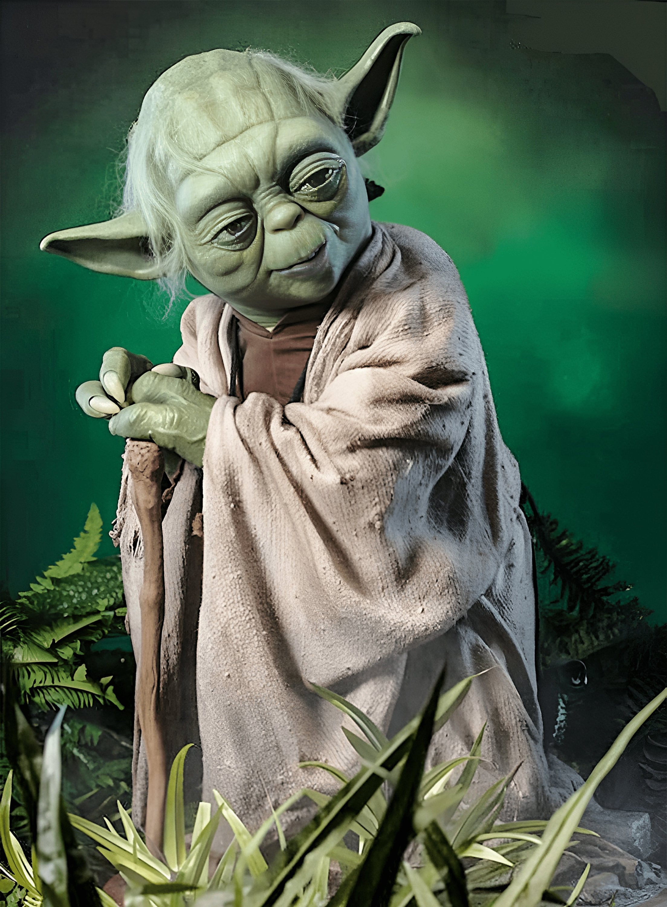 Star Wars Yoda Baby Yoda Set of 14 PNG Star Wars Nursery - Etsy