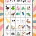 Pet Bingo Cards, 30 Bingo Cards, Printable Bingo Cards, Pet Activity ...