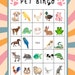 Pet Bingo Cards, 30 Bingo Cards, Printable Bingo Cards, Pet Activity ...