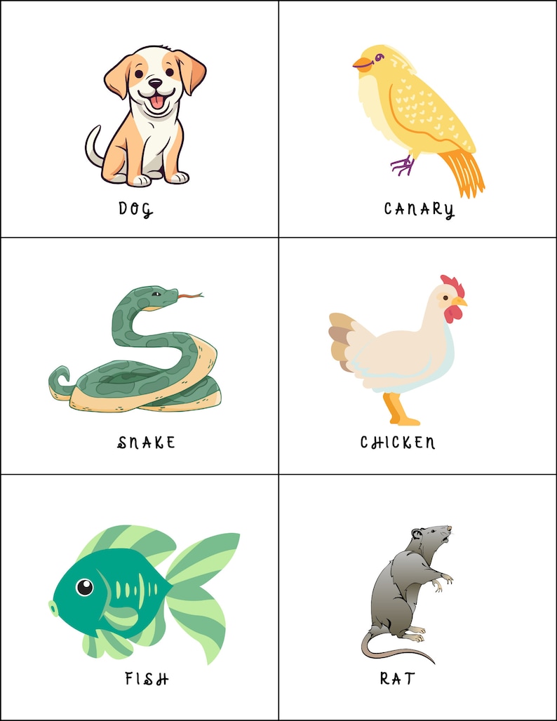 Pet Bingo Cards, 30 Bingo Cards, Printable Bingo Cards, Pet Activity ...