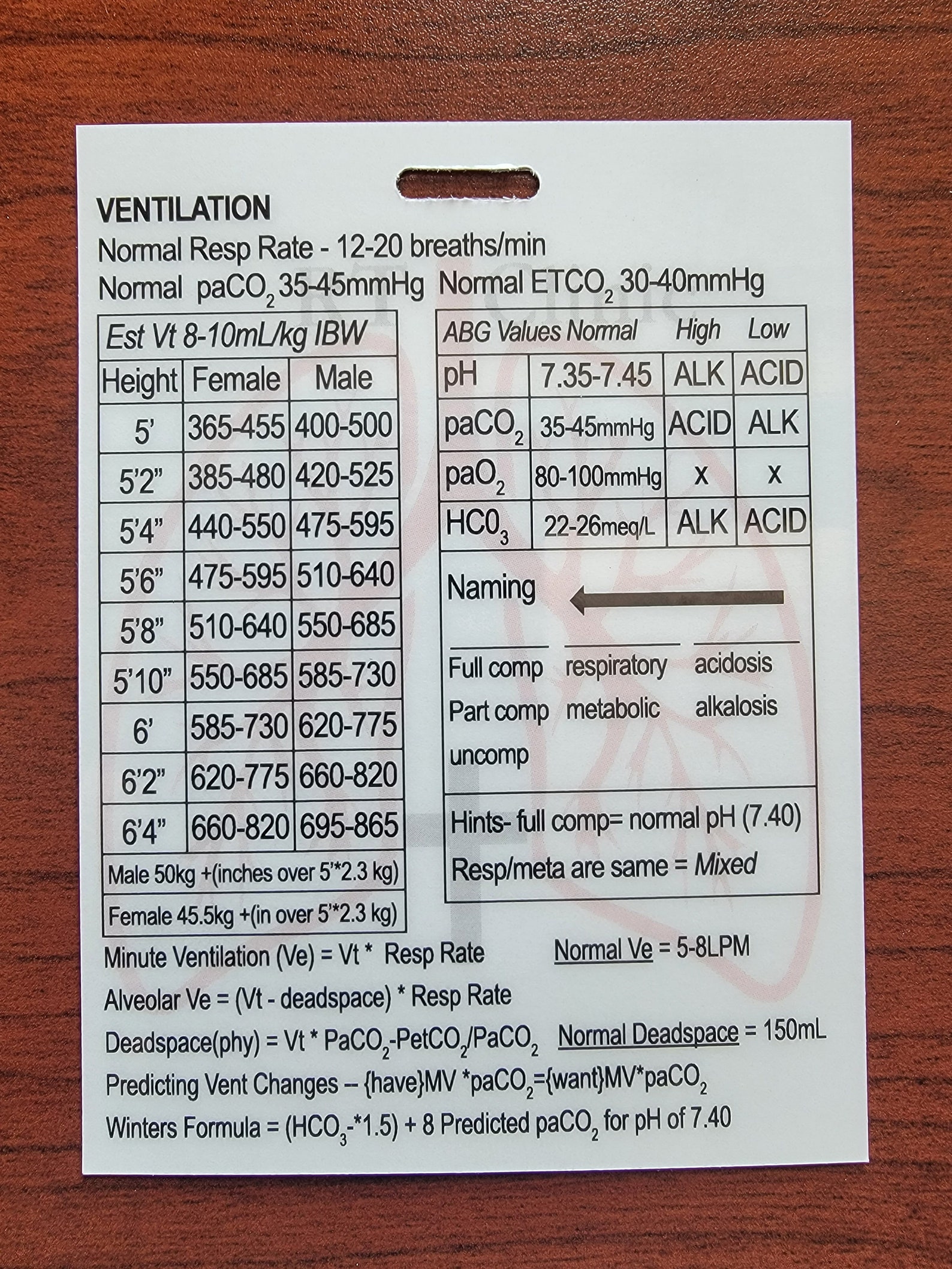 Two Oxygenation/ventilation Badge Buddies RT Clinic RN - Etsy