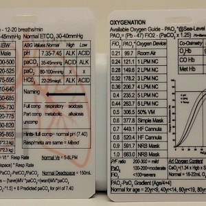 Two Oxygenation/ventilation Badge Buddies - RT Clinic - RN Respiratory ...