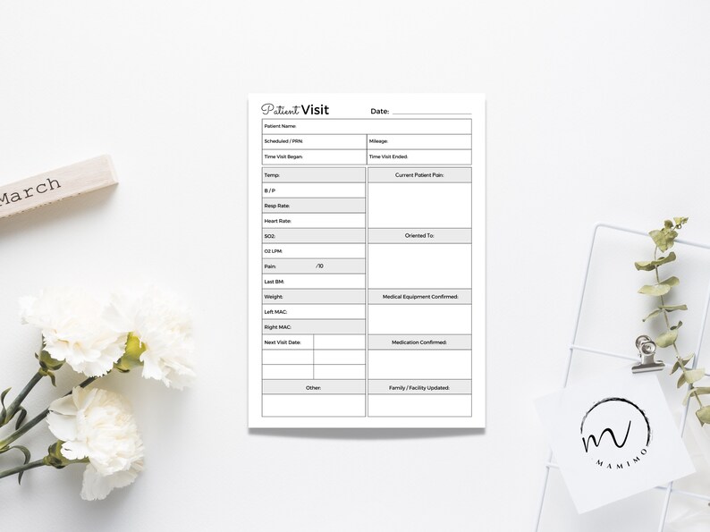 Printable Patient Visit Log for Hospice, Home Health Nurse Patient ...