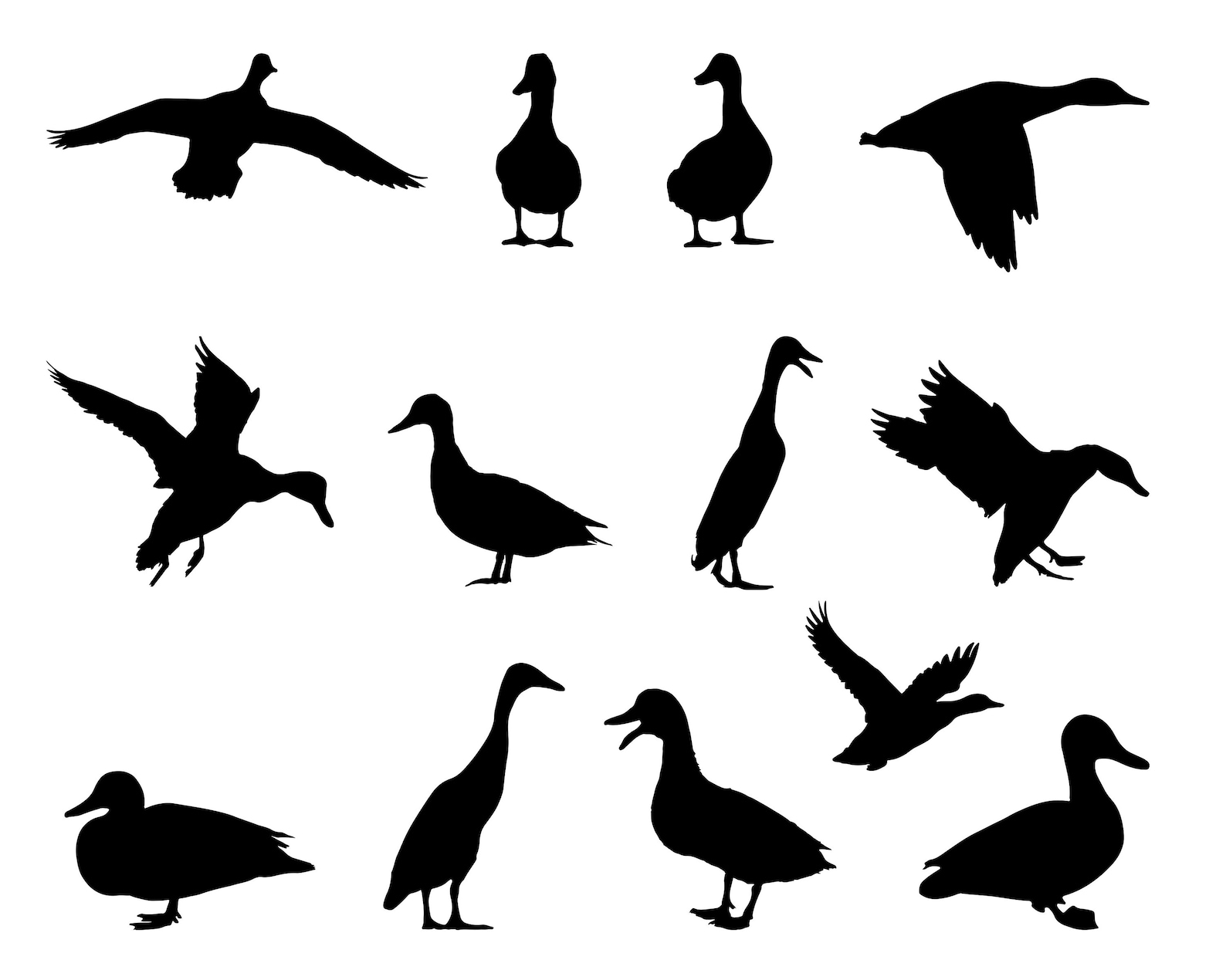 Duck SVG Bundle, PNG, Duck Cut File for Cricut, Silhouette, Cameo, Duck ...