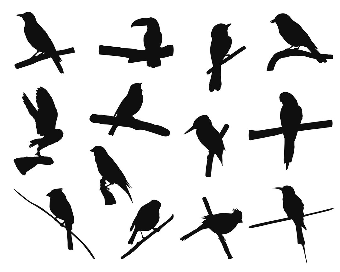 Birds SVG Bundle, Bird Svg, Png, Cut Files for Cricut, Silhouette, Clip ...