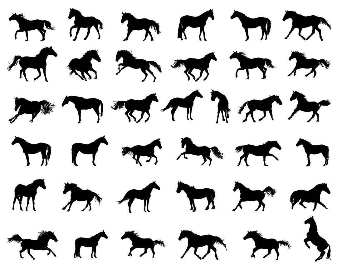 Horse SVG Bundle, PNG, Horses Svg, Farm Svg, Horse Clipart, Horse ...