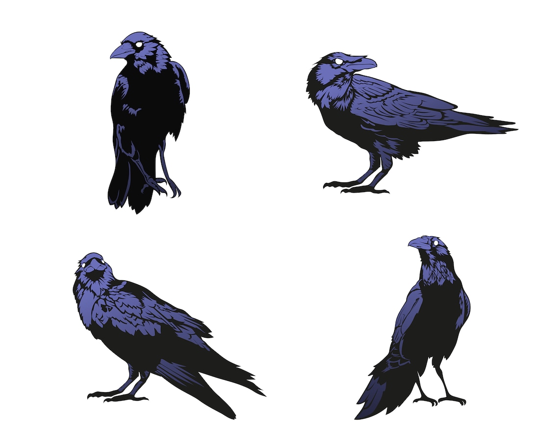 Raven SVG Bundle PNG Crow Svg Clipart Silhouette Vector - Etsy Canada