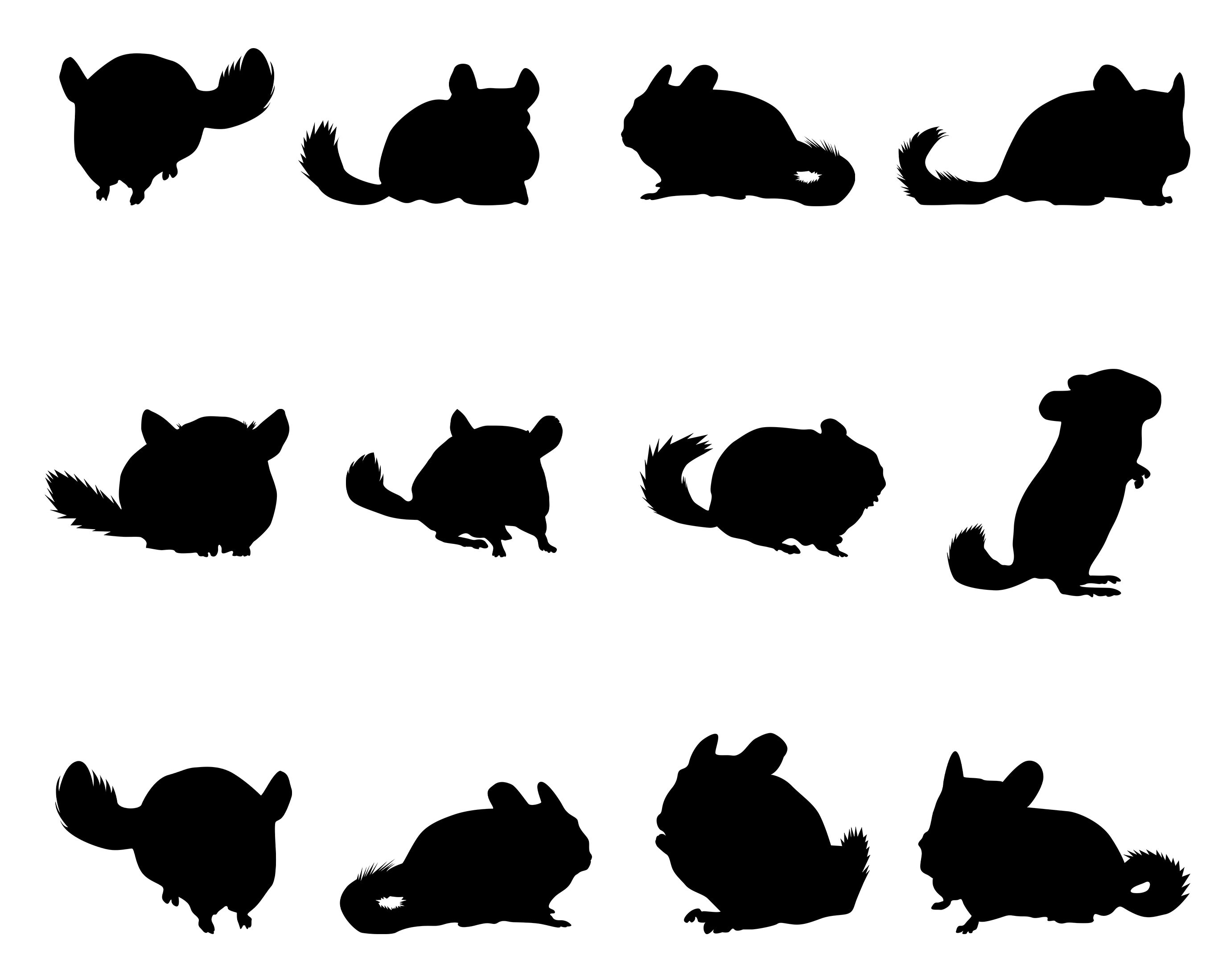 Chinchilla SVG Bundle PNG Mouse Svg Rat Svg Clipart - Etsy México