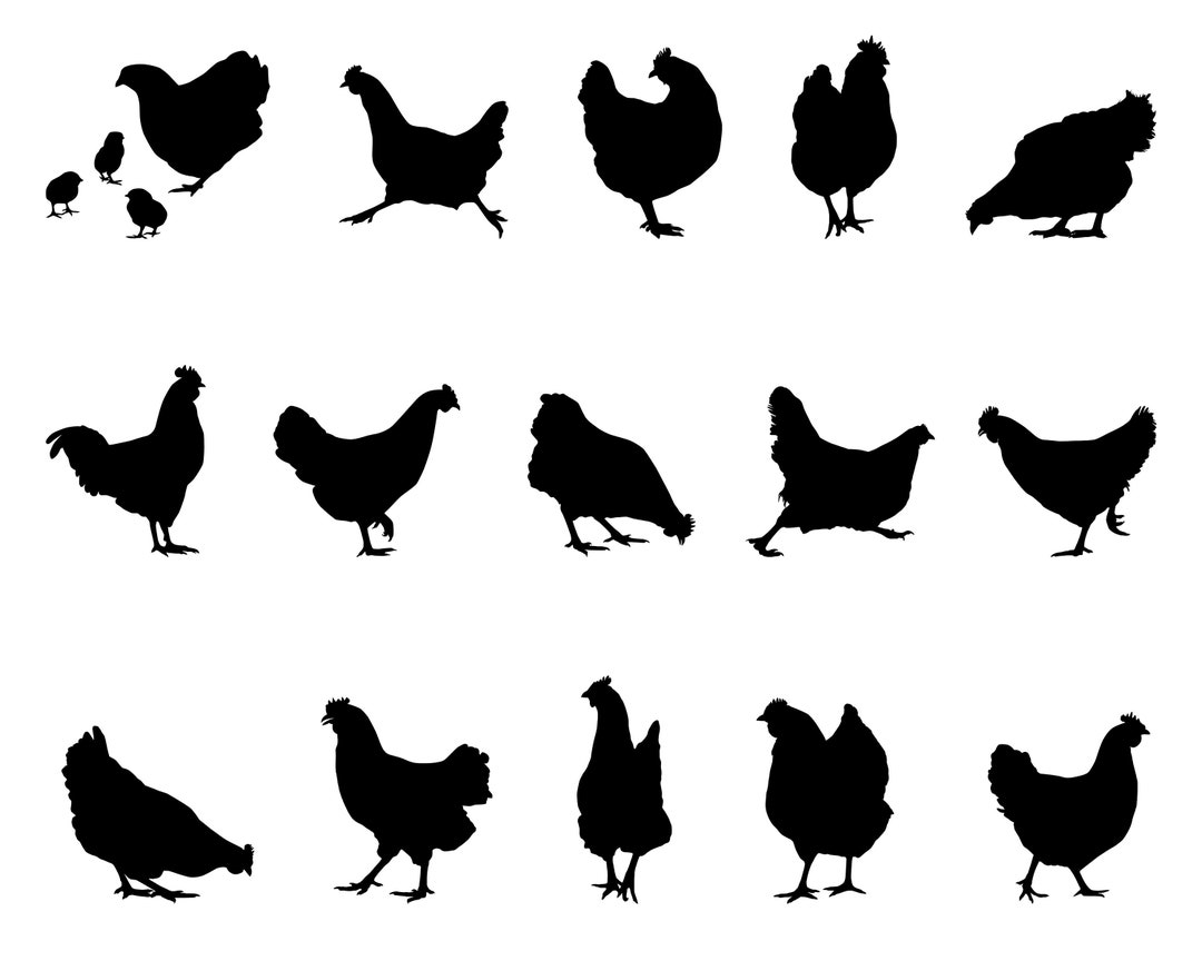 Chicken SVG Bundle, PNG, Chicken Silhouette Svg, Chicken Clipart, Cut ...