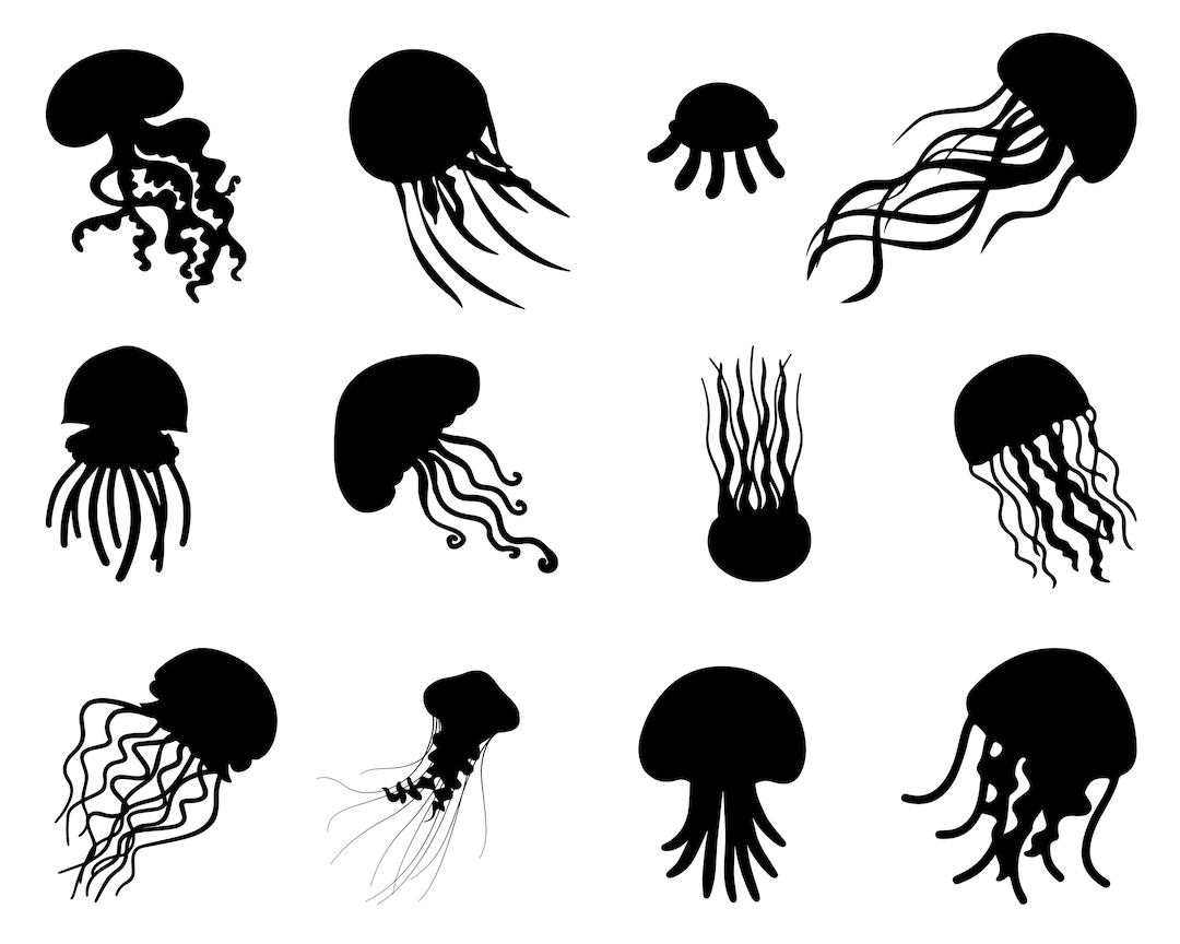 Jellyfish SVG Bundle, PNG, Jellyfish Silhouette Svg, Jellyfish Clipart ...
