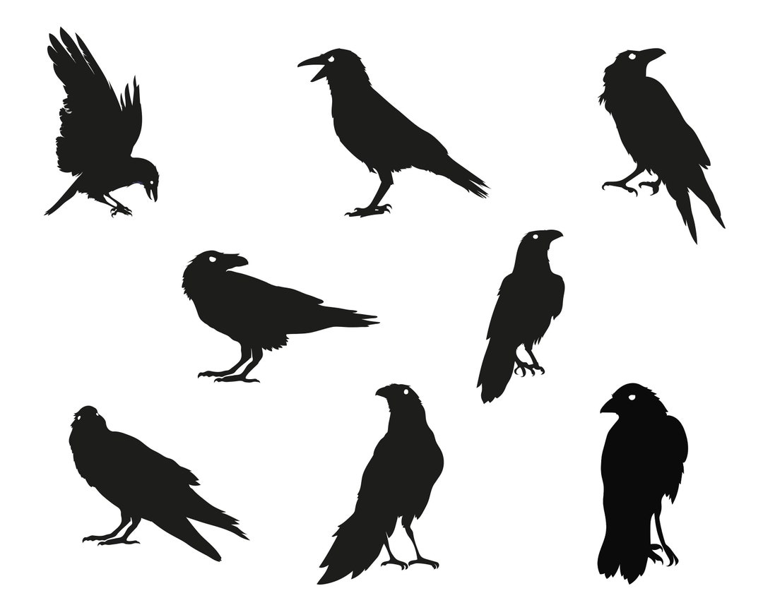 Crow SVG Bundle, PNG, Raven Svg, Bird Svg, Spooky Svg, Crow Cut Files ...