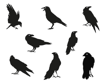 Crow Svg Bundle, SVG Files for Cricut, Raven SVG, Crow Clipart, Crow ...