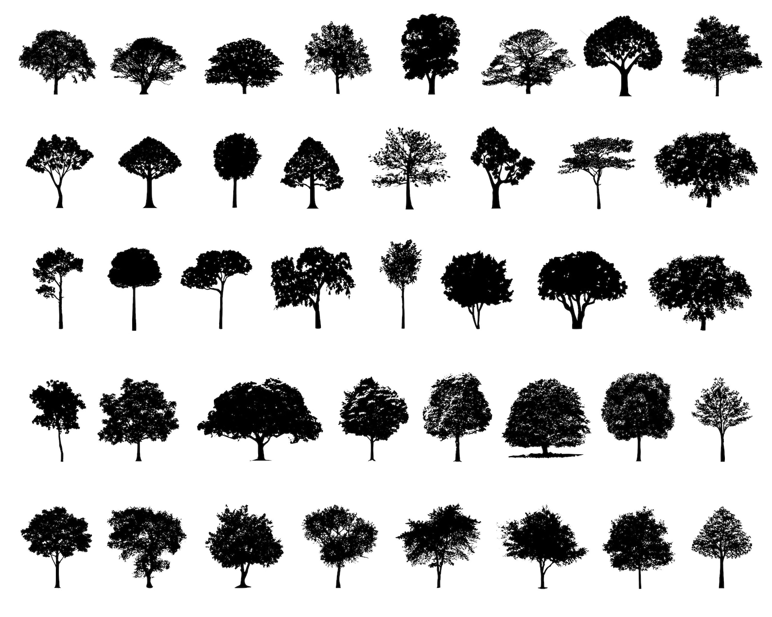 Tree Silhouette SVG Bundle, Oak Tree Svg, Png, Tree Cut Files for ...