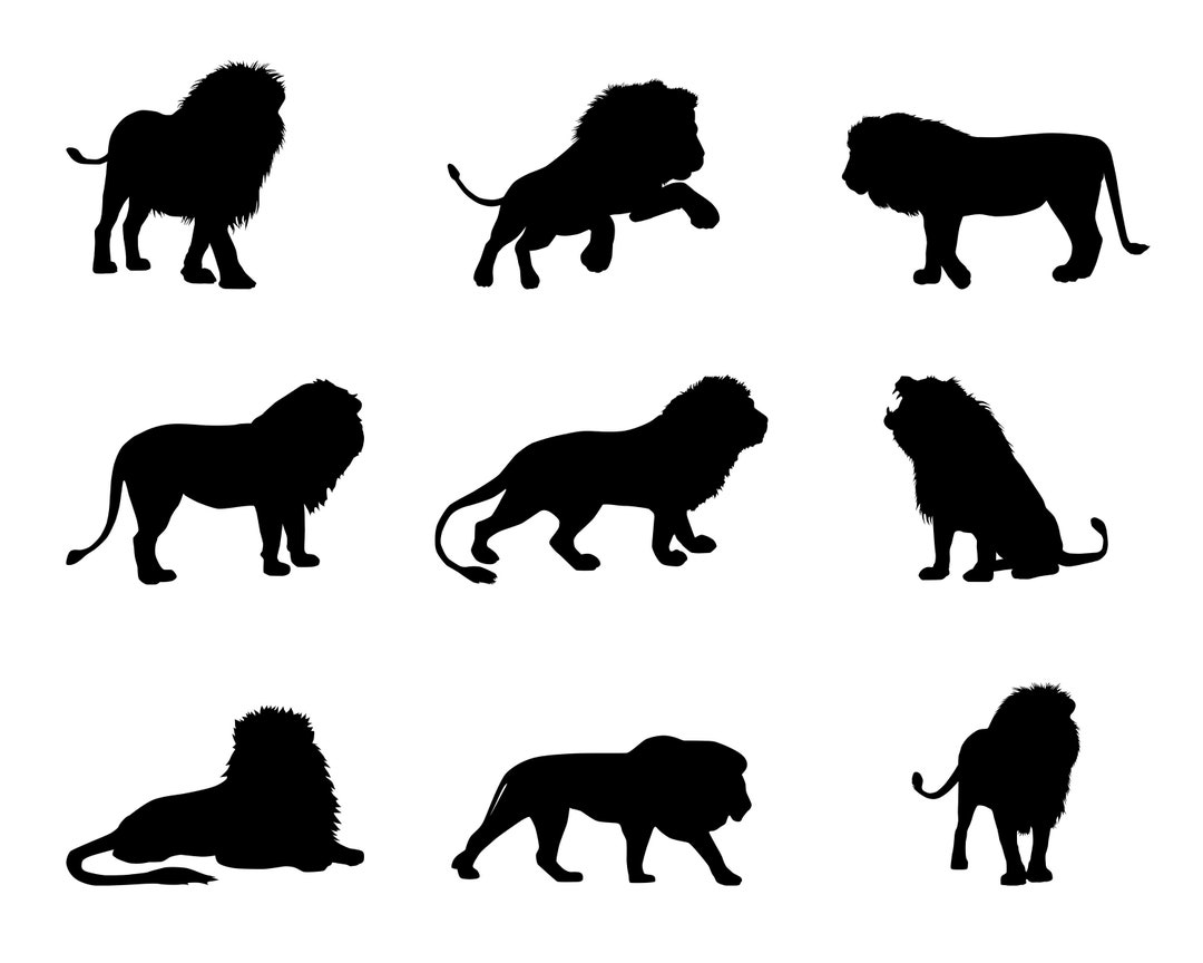Lion SVG Bundle, PNG, Lion Silhouette, Lion Clipart, Cut File for ...