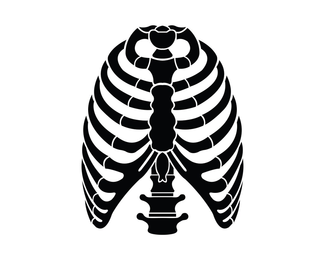 Rib Cage SVG, PNG - Medical Student Svg, Heart Rib Cage Svg, Human ...