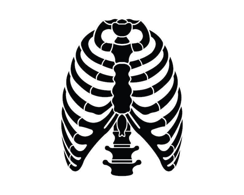 Rib Cage SVG PNG Medical Student Svg Heart Rib Cage Svg - Etsy