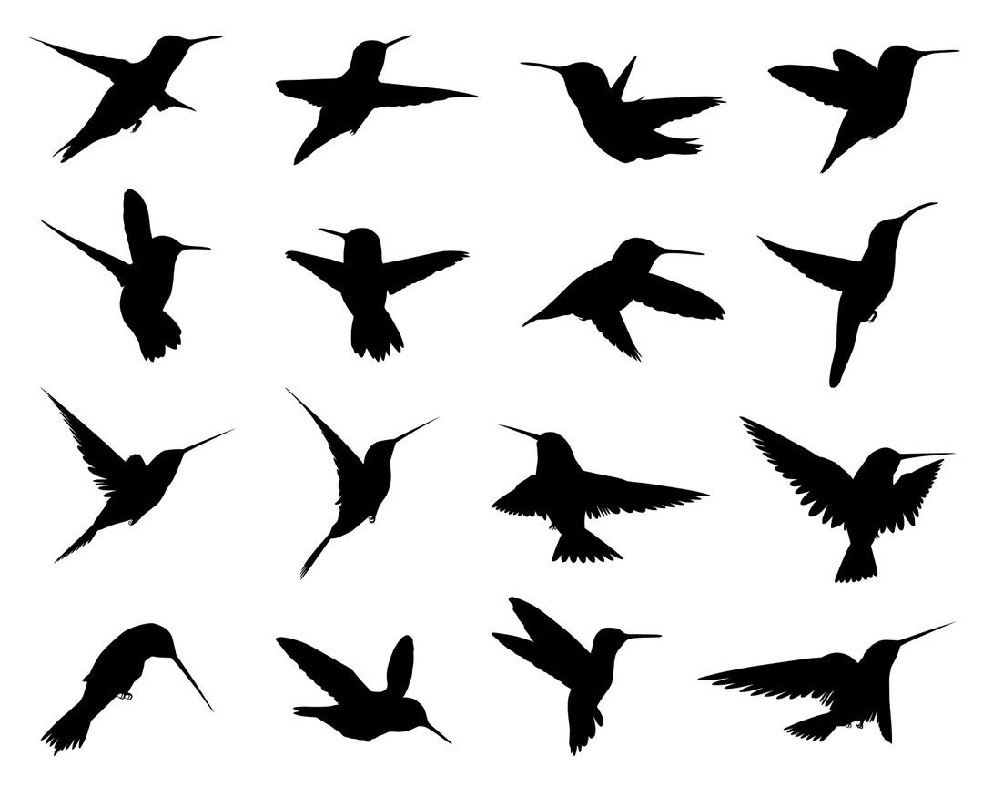 Hummingbird SVG Bundle, PNG, Hummingbird Silhouette Svg, Hummingbird ...