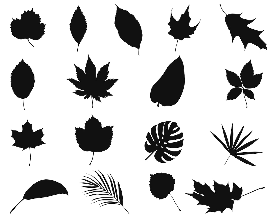 Leaves SVG Bundle, PNG, Leaf Svg, Fall Svg, Autumn Svg, Leaf Silhouette ...