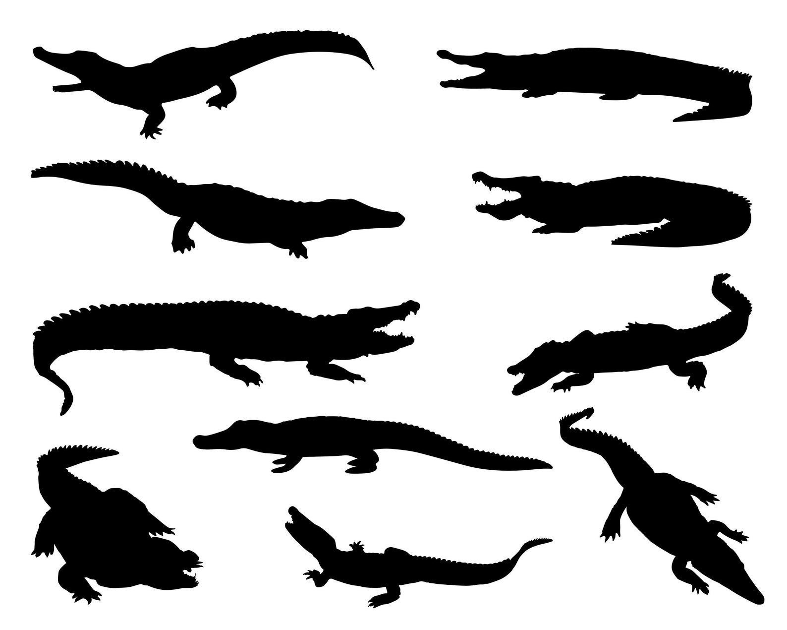 Crocodile SVG Bundle PNG Alligator Svg Cut Files for - Etsy