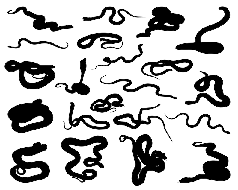 Snake SVG Bundle PNG Snake Cut File for Cricut Snake - Etsy